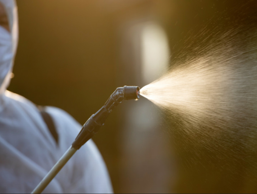 Home [www.vortexexteriorcleaningfl.com]